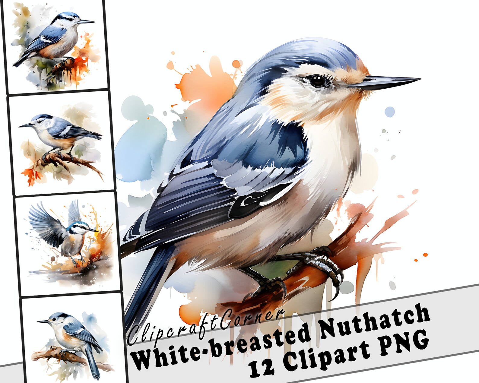 12 White Breasted Nuthatch Clipart PNG Art Bundle | Watercolor Bird ...