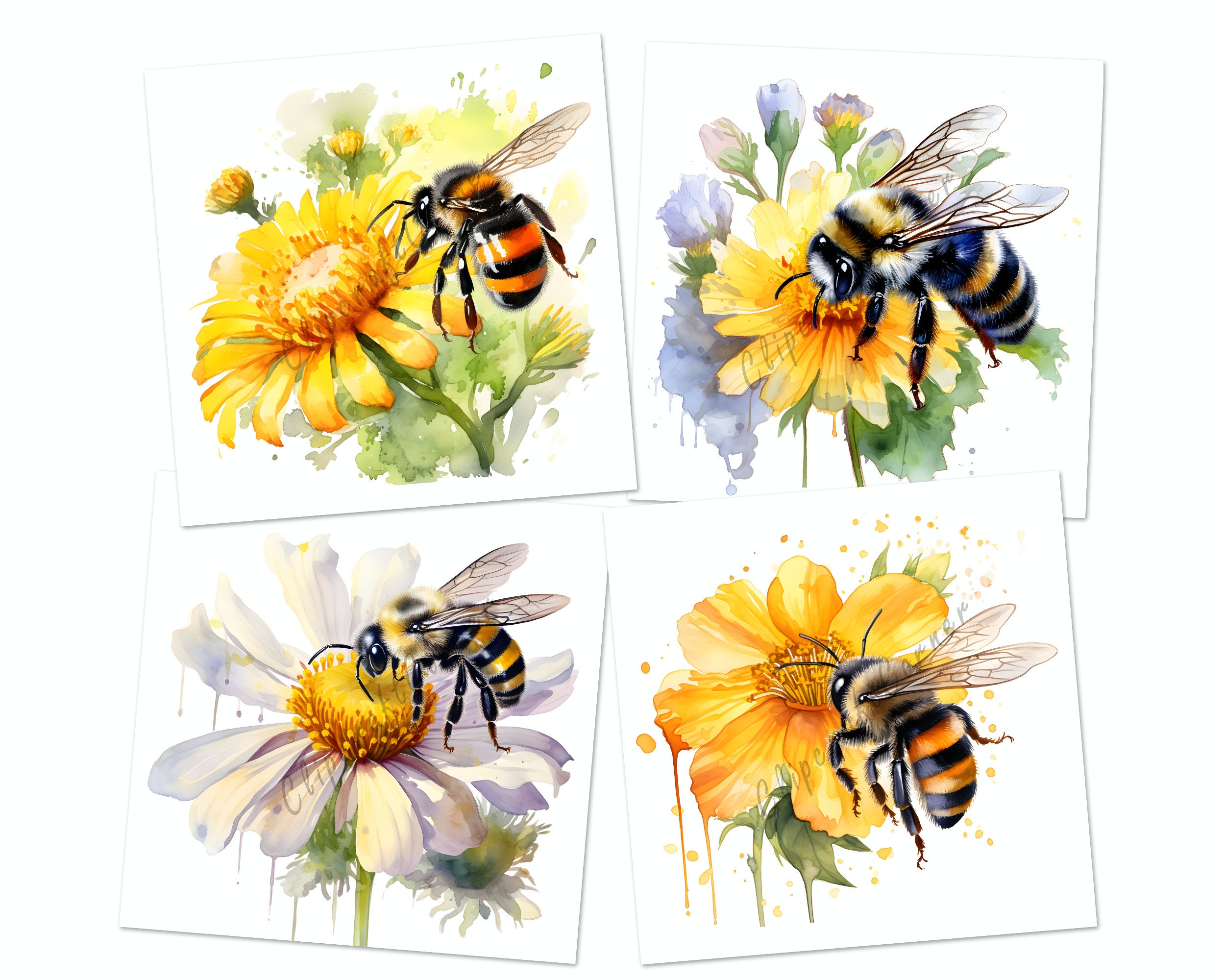 12 Bumblebee in Flower Clipart PNG Forest Animal Bundle | Watercolor ...