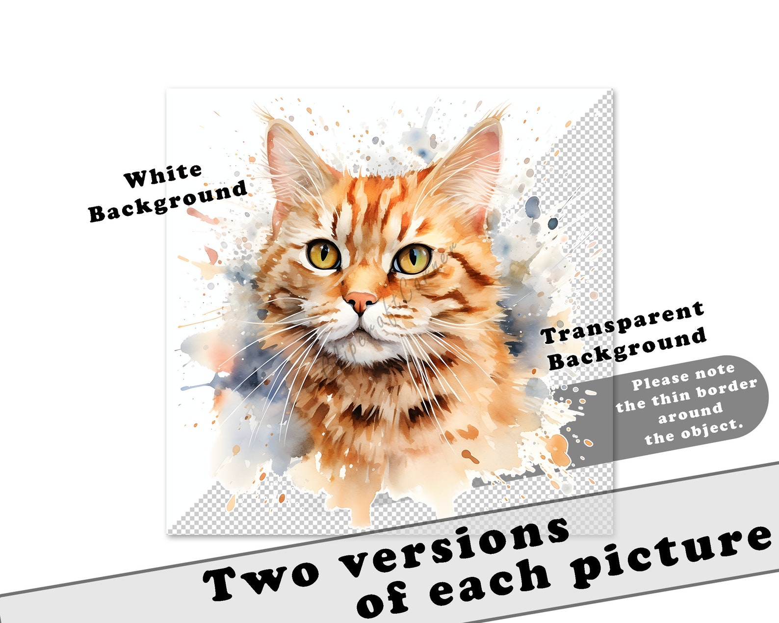 12 Cheetoh Cat Clipart PNG Bundle | Cute Watercolor Cat Clipart PNG ...