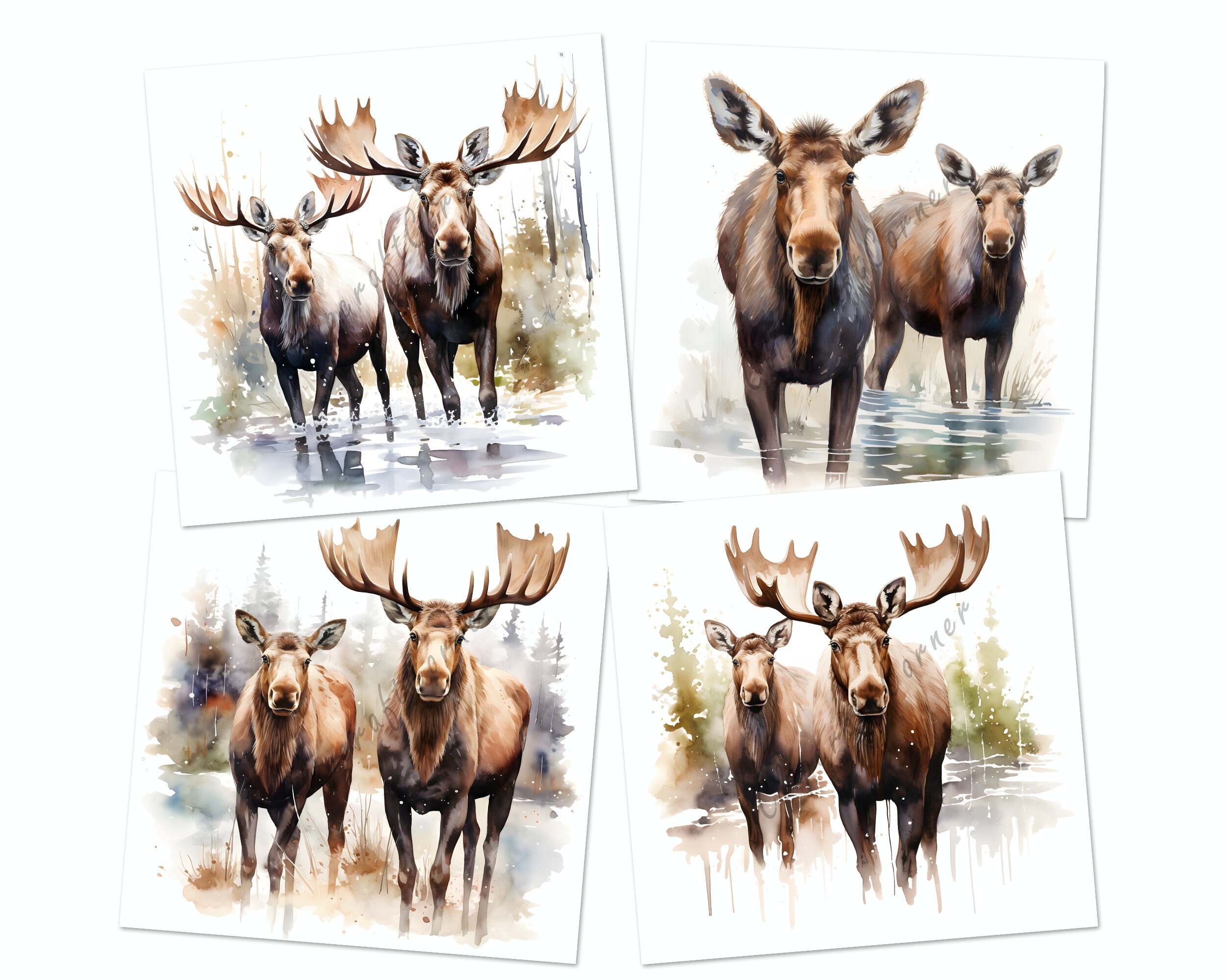 12 Moose Clipart PNG Forest Animal Bundle Watercolor Moose Illustration ...