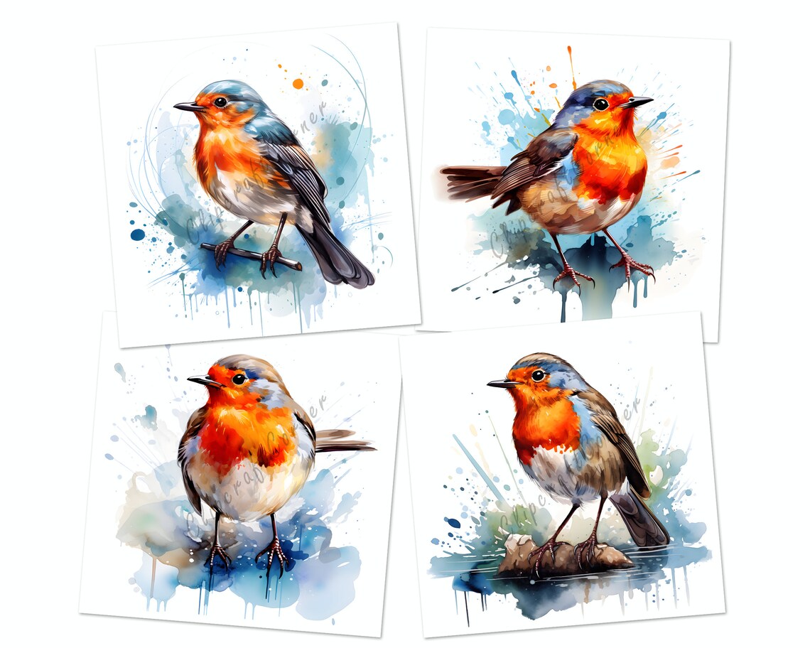 12 Robin Clipart PNG Art Bundle | Watercolor Bird Clipart PNG Artwork ...