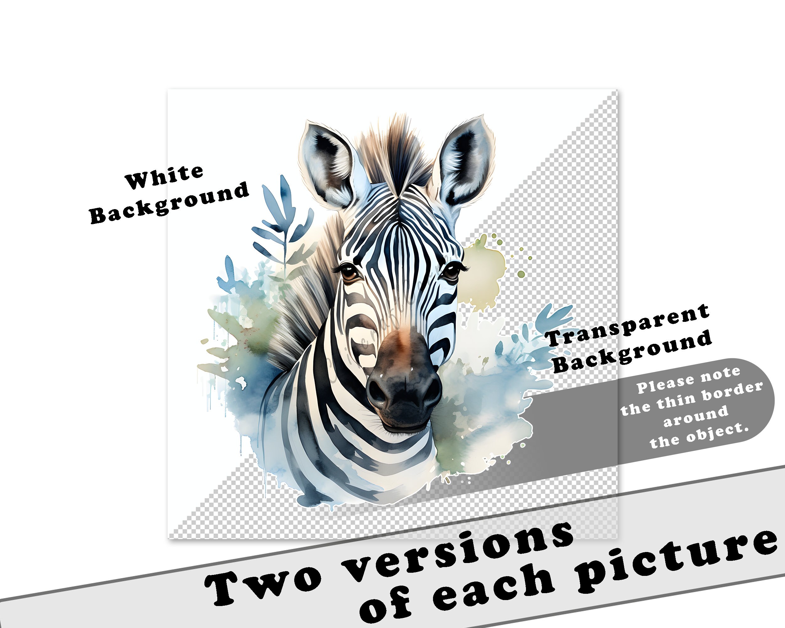 12 Zebra Clipart PNG Savannah Animal Bundle | Watercolor Zebra Clipart ...