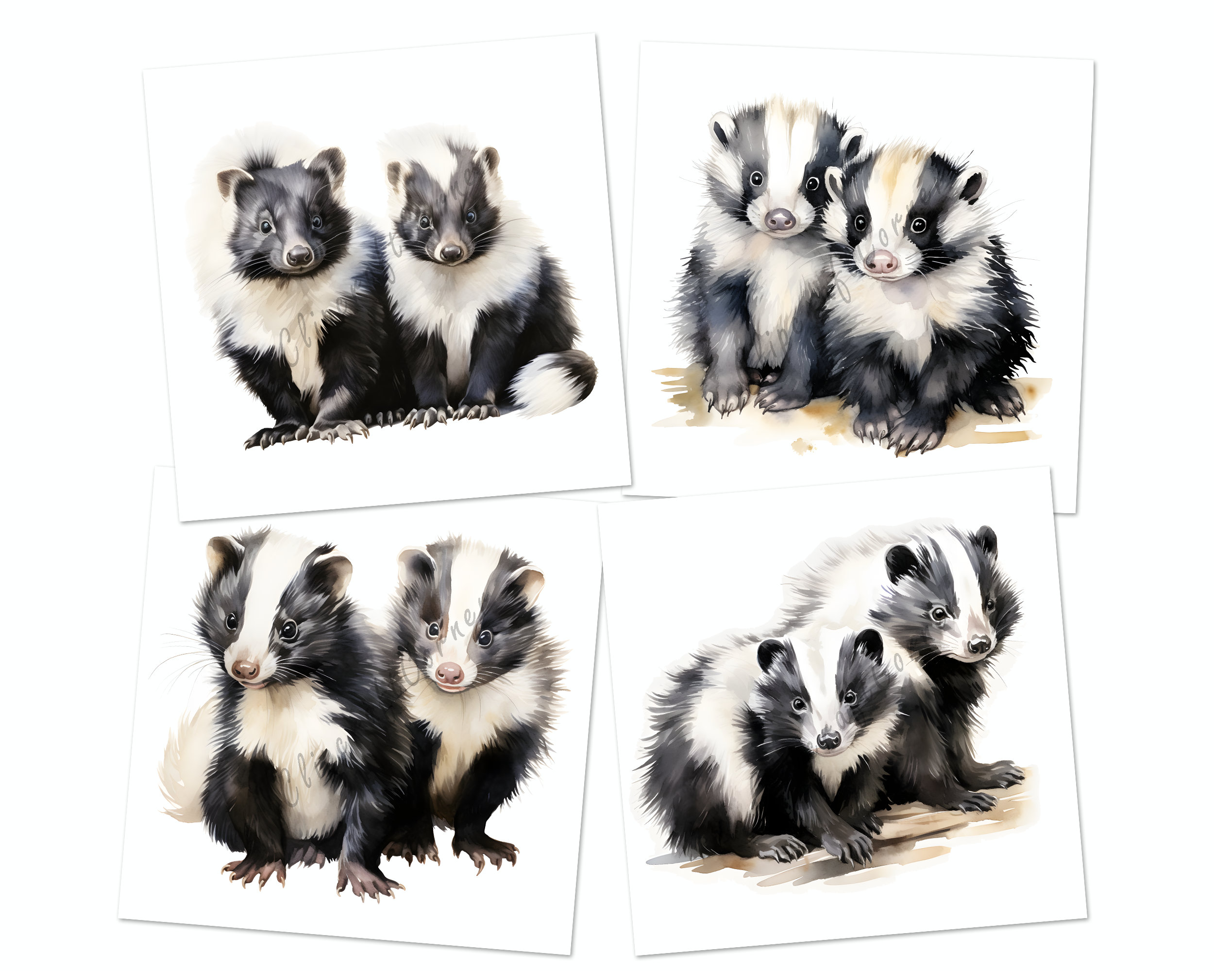 12 Skunk Clipart PNG Forest Animal Bundle | Watercolor Skunk Clipart ...