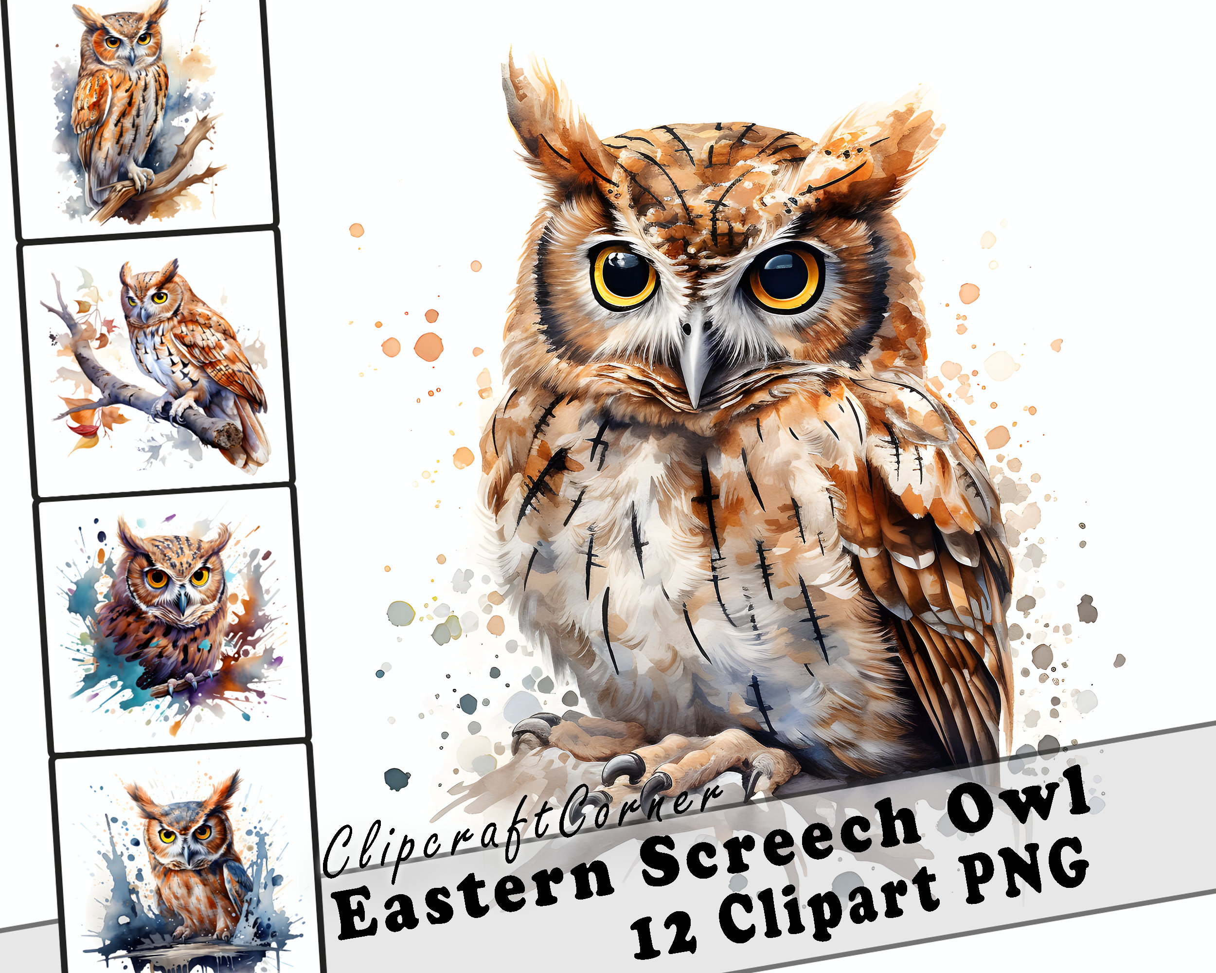 12 Eastern Screech Owl Clipart PNG Art Bundle | Watercolor Bird Clipart ...