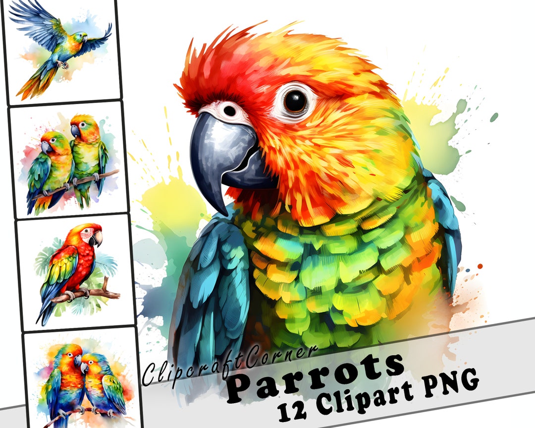 12 Parrot Clipart PNG Bundle | Tropical Bird Watercolor Clipart PNG | Summer Clipart PNG Artwork ...