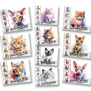 800+ Watercolor Cat Mega Bundle Clipart PNG | Funny Cat Bundle | 60 ...