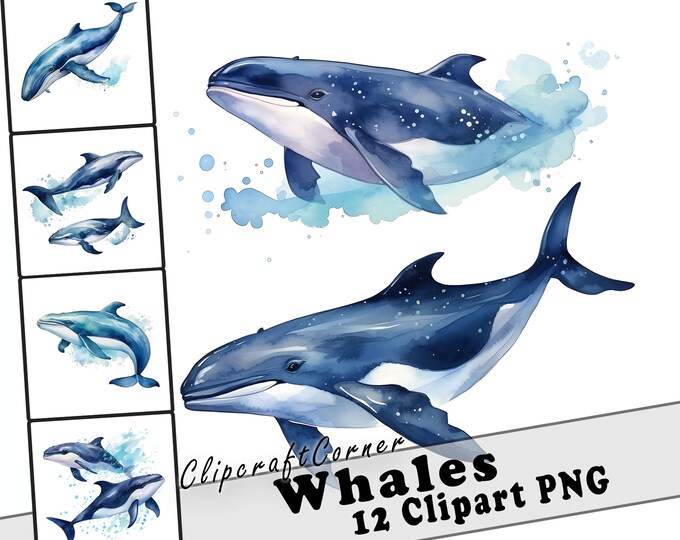 Whale Clipart Watercolor Whales PNG, Under the Sea PNG Cute Sea Animals ...