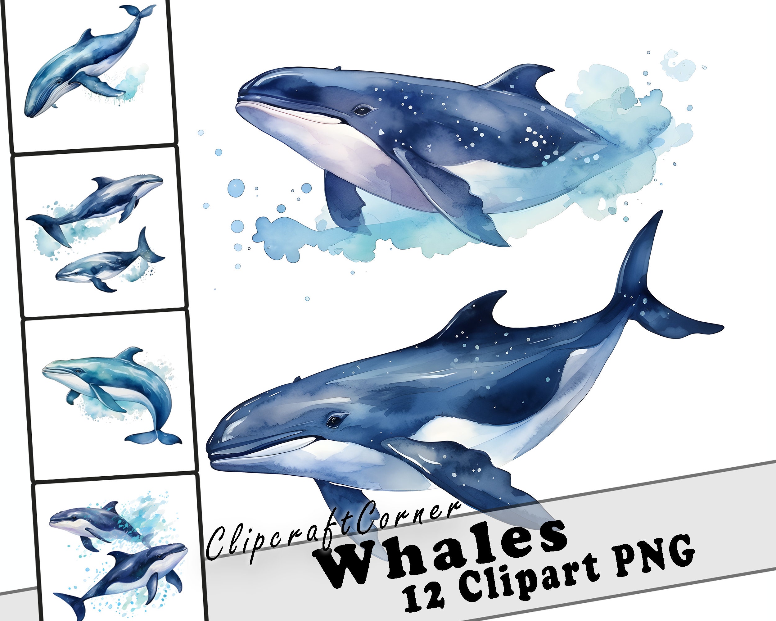 12 Whale Clipart PNG Bundle Watercolor Sea Animals Clipart PNG Ocean ...