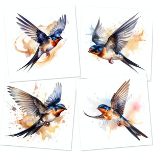12 Barn Swallow Clipart PNG Art Bundle | Watercolor Bird Clipart PNG ...