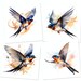 12 Barn Swallow Clipart PNG Art Bundle | Watercolor Bird Clipart PNG ...