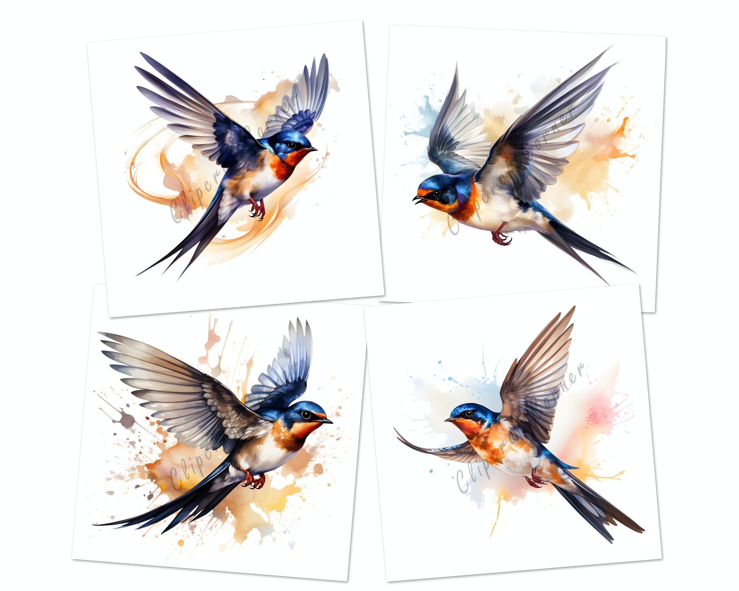 12 Barn Swallow Clipart PNG Art Bundle | Watercolor Bird Clipart PNG ...