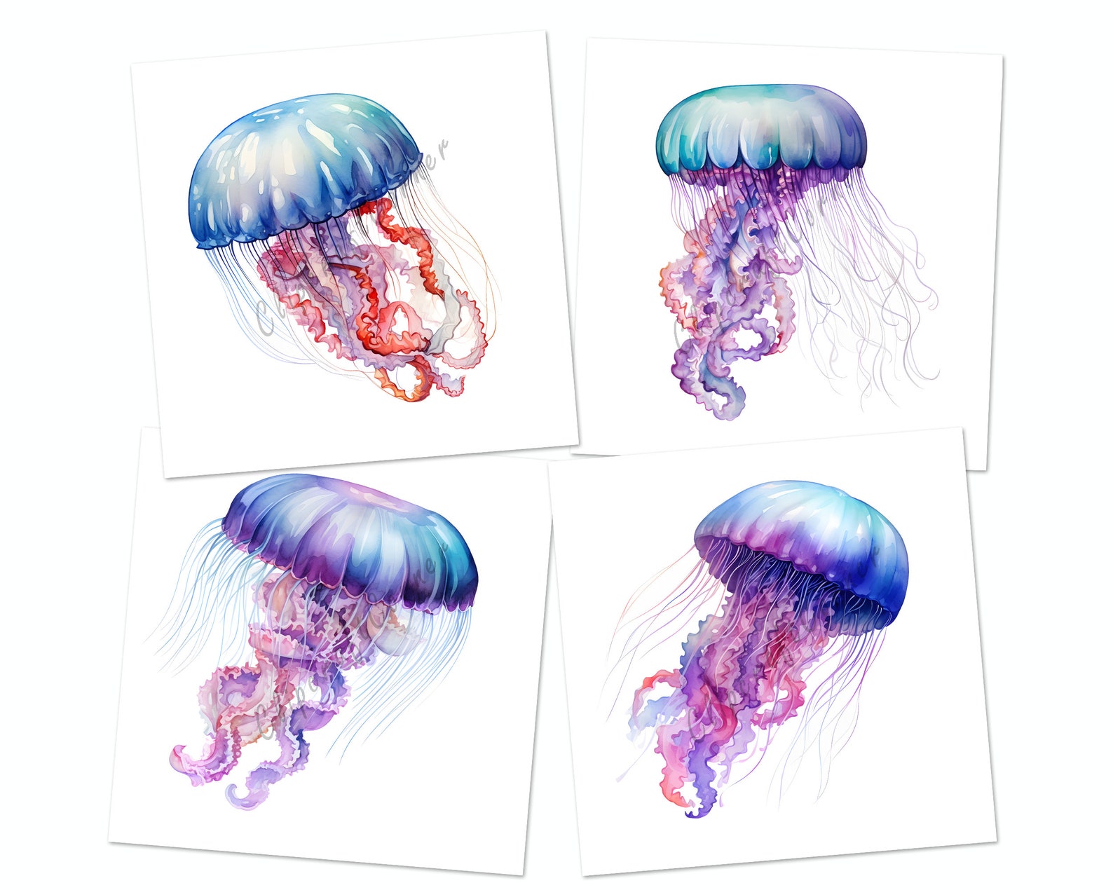 12 Jellyfish Clipart PNG Bundle Watercolor Sea Animals Clipart PNG ...