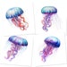 12 Jellyfish Clipart PNG Bundle | Watercolor Sea Animals Clipart PNG ...