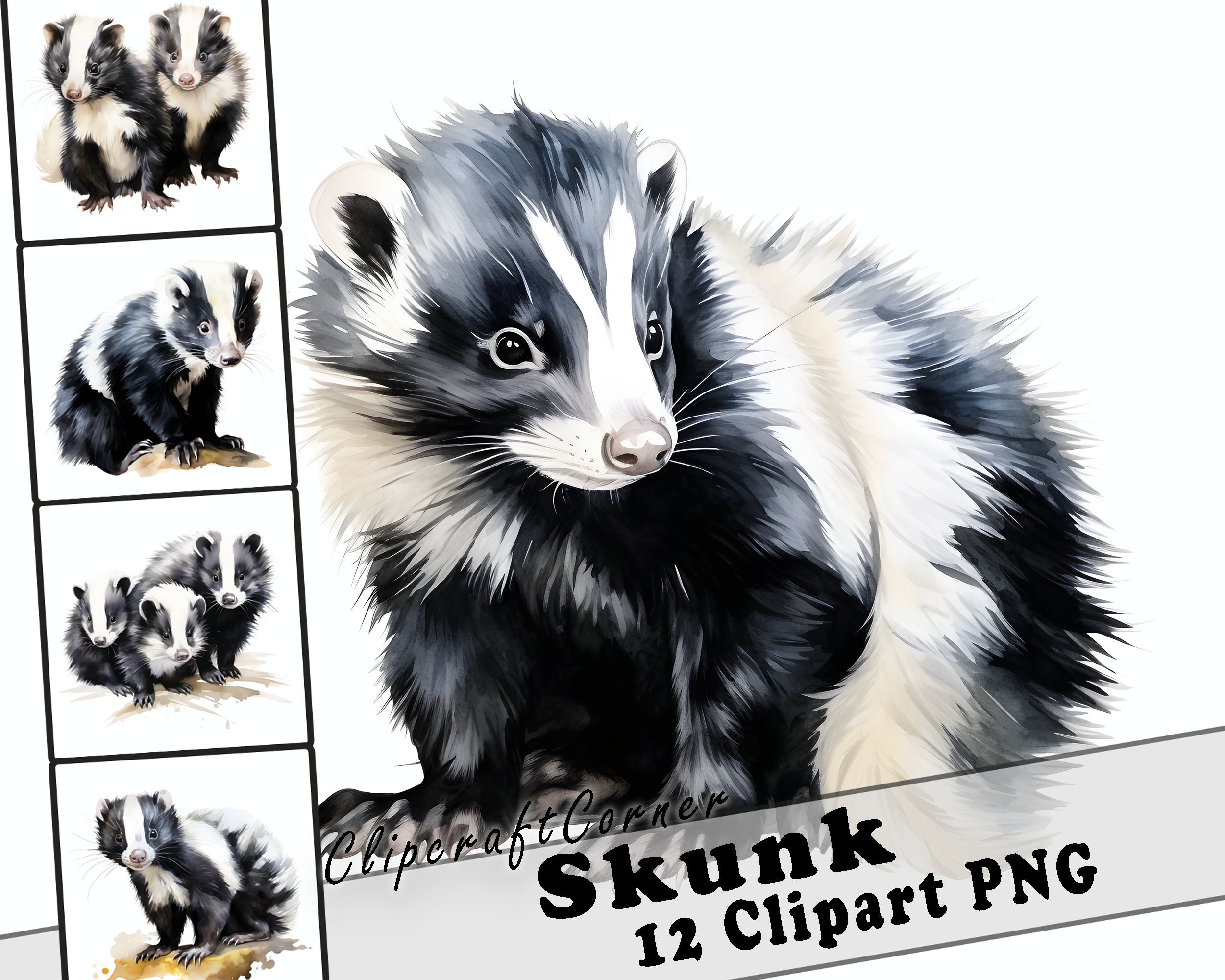12 Skunk Clipart PNG Forest Animal Bundle | Watercolor Skunk Clipart ...