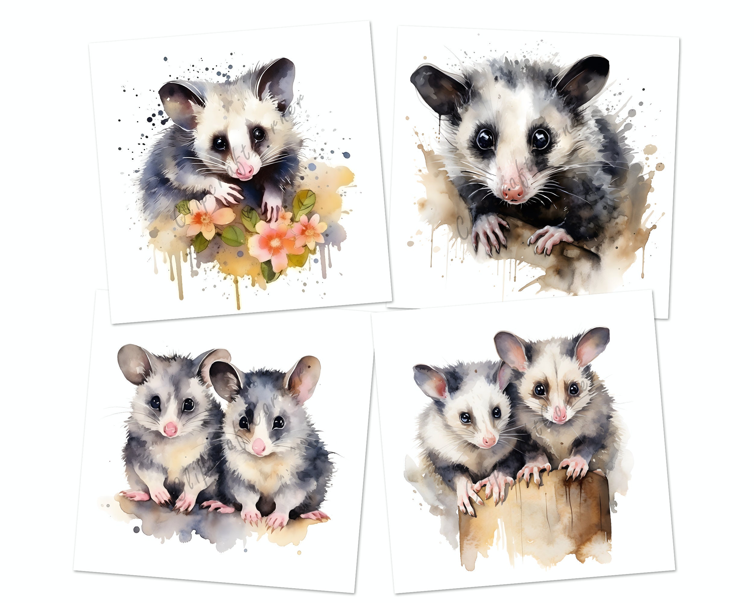 12 Possum Clipart PNG Forest Animal Bundle | Watercolor Possum Clipart ...