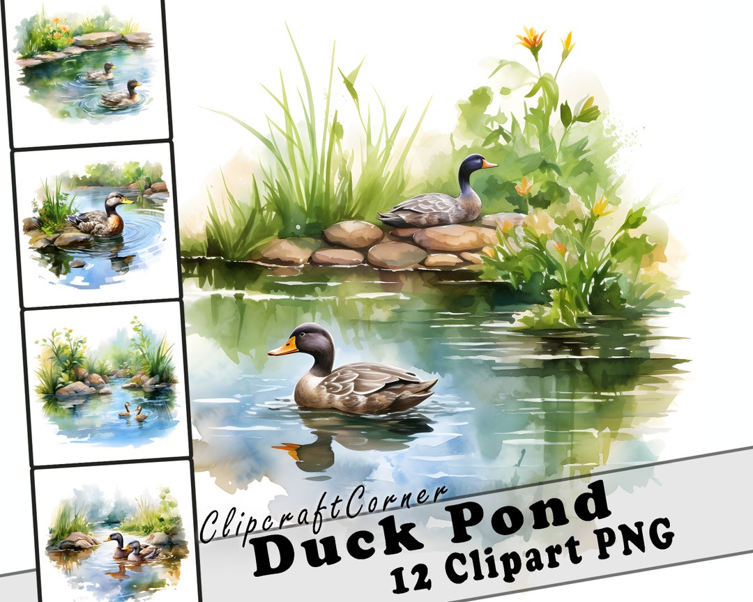 12 Duck Pond Clipart PNG Bundle | Watercolor Duck Pond Clipart PNG ...