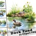 12 Duck Pond Clipart PNG Bundle | Watercolor Duck Pond Clipart PNG ...