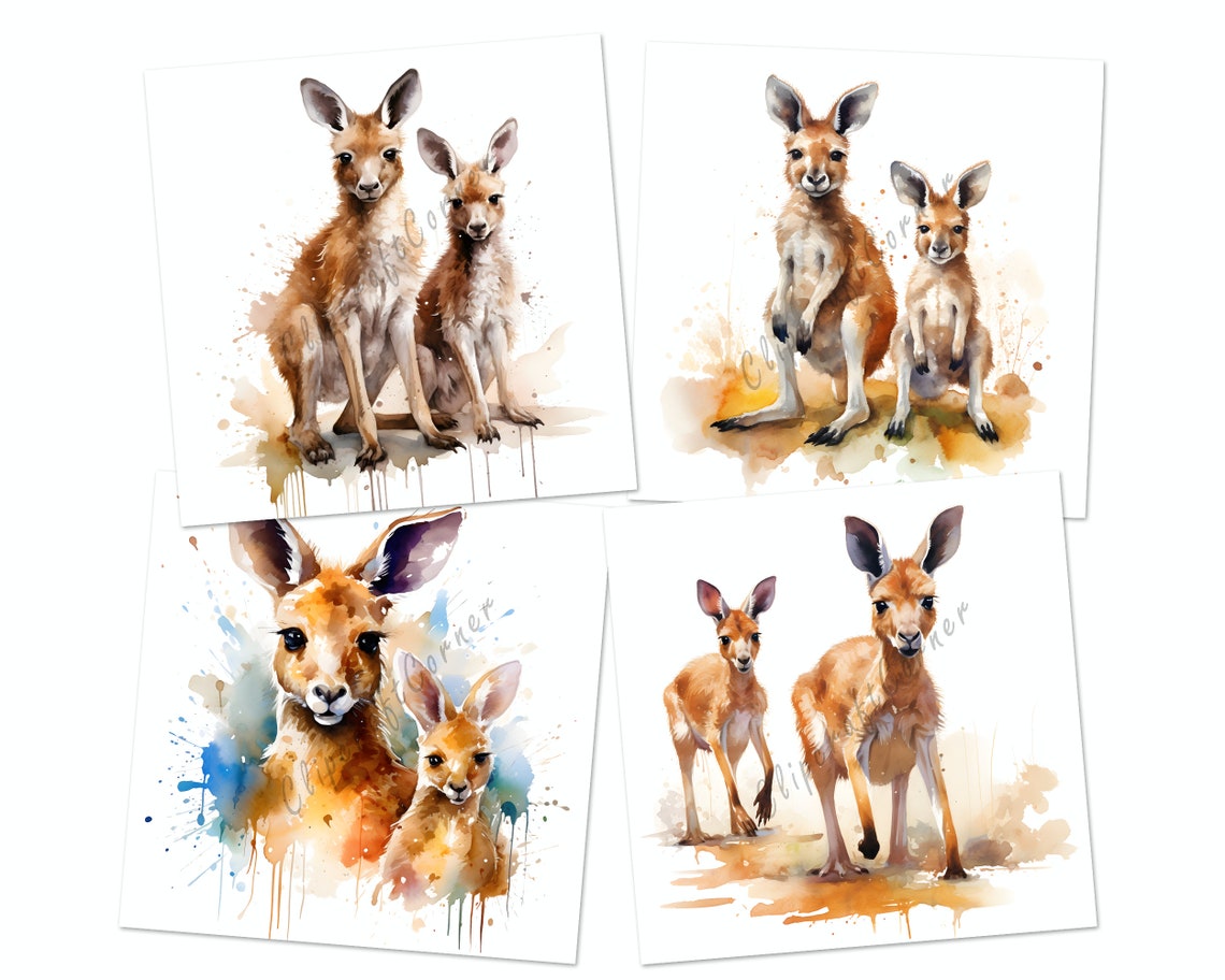 12 Kangaroo Clipart PNG Forest Animal Bundle Watercolor Kangaroo ...