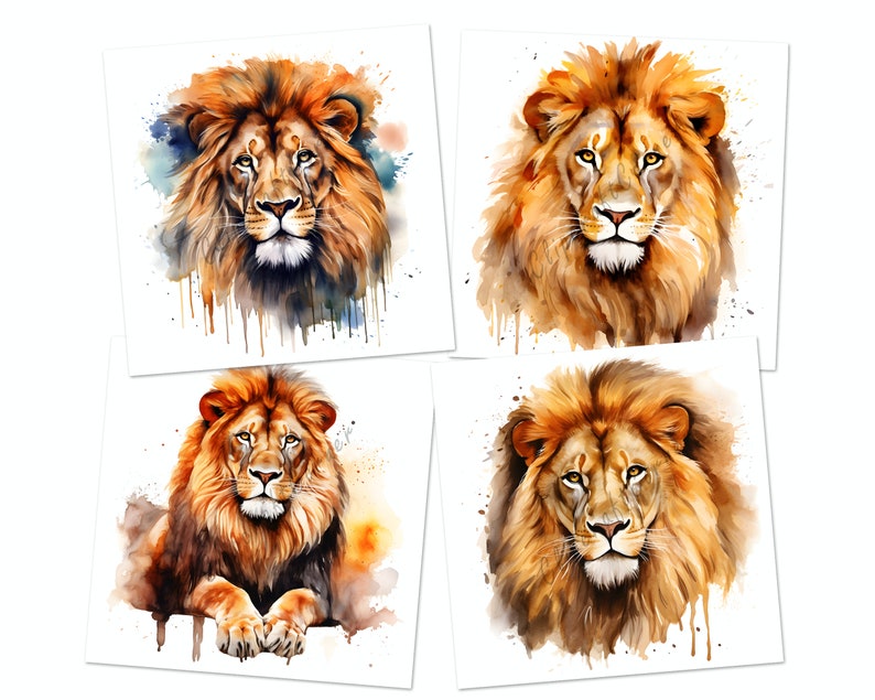 12 Lion Clipart PNG Savannah Animal Bundle | Watercolor Lion Clipart ...