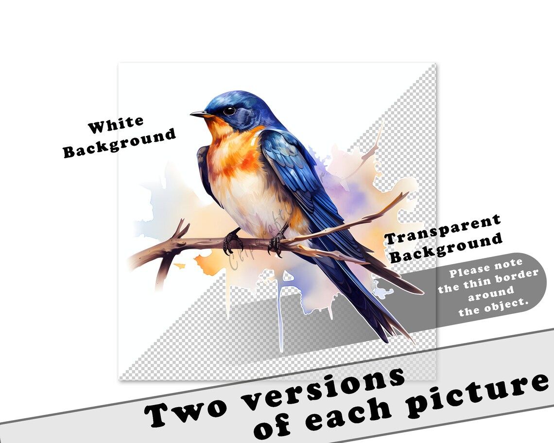 12 Barn Swallow Clipart PNG Art Bundle | Watercolor Bird Clipart PNG ...