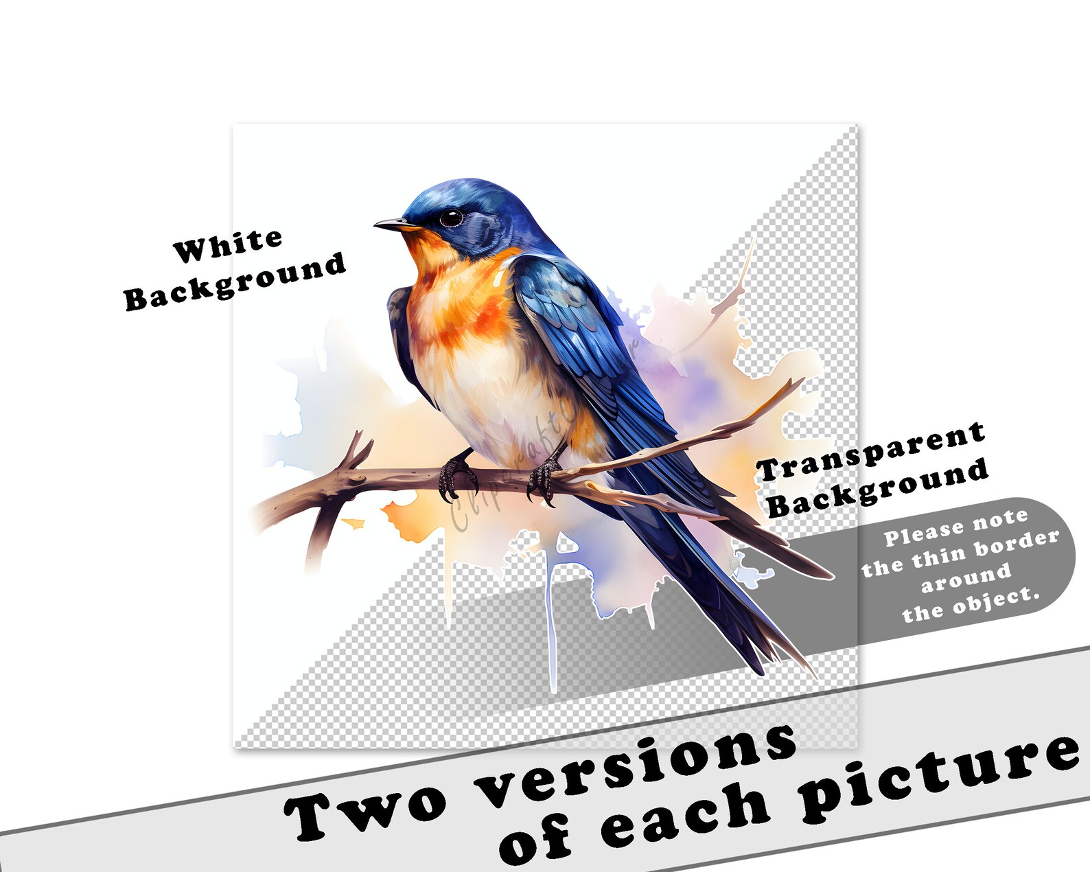 12 Barn Swallow Clipart PNG Art Bundle | Watercolor Bird Clipart PNG ...