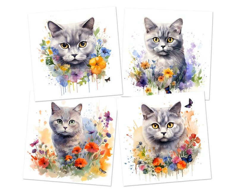 12 British Shorthair Cat With Flowers Clipart PNG Bundle | Cute ...