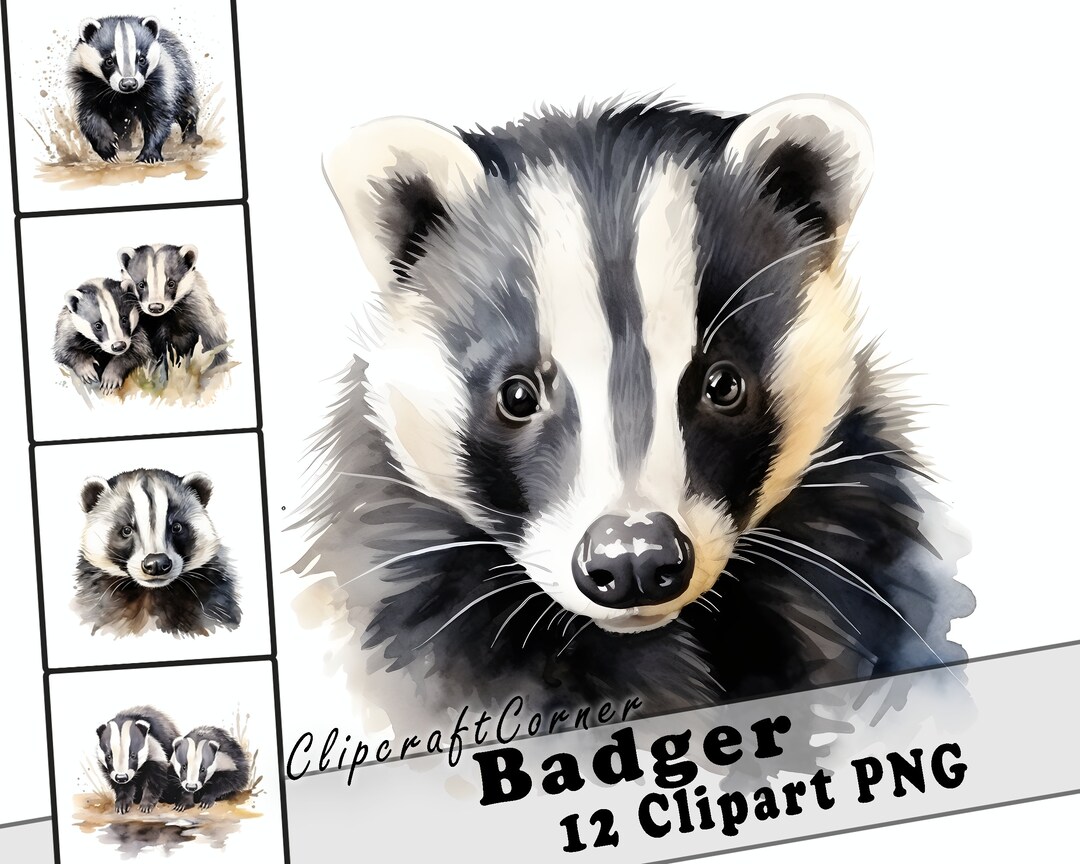12 Badger Clipart PNG Forest Animal Bundle | Watercolor Badger Clipart ...