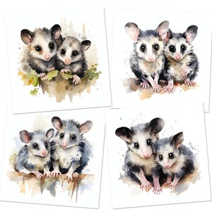 12 Possum Clipart PNG Forest Animal Bundle | Watercolor Possum Clipart ...