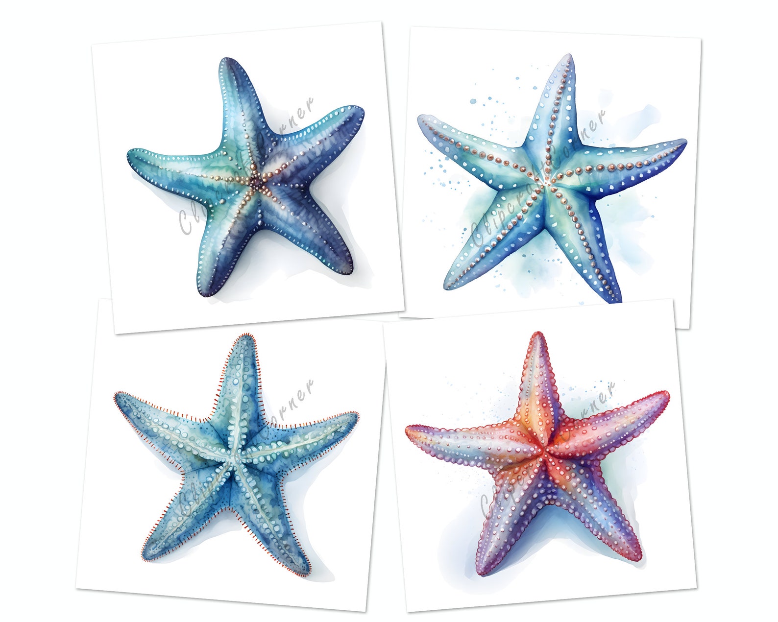 12 Starfish Clipart PNG Bundle | Watercolor Sea Animals Clipart PNG ...