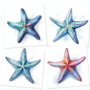 12 Starfish Clipart PNG Bundle | Watercolor Sea Animals Clipart PNG ...