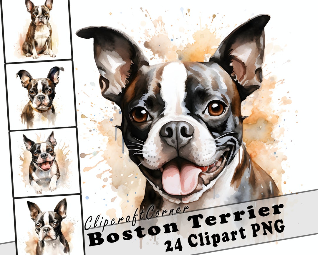 24 Boston Terrier Clipart PNG Bundle | Watercolor Dog Clipart PNG | 82 ...