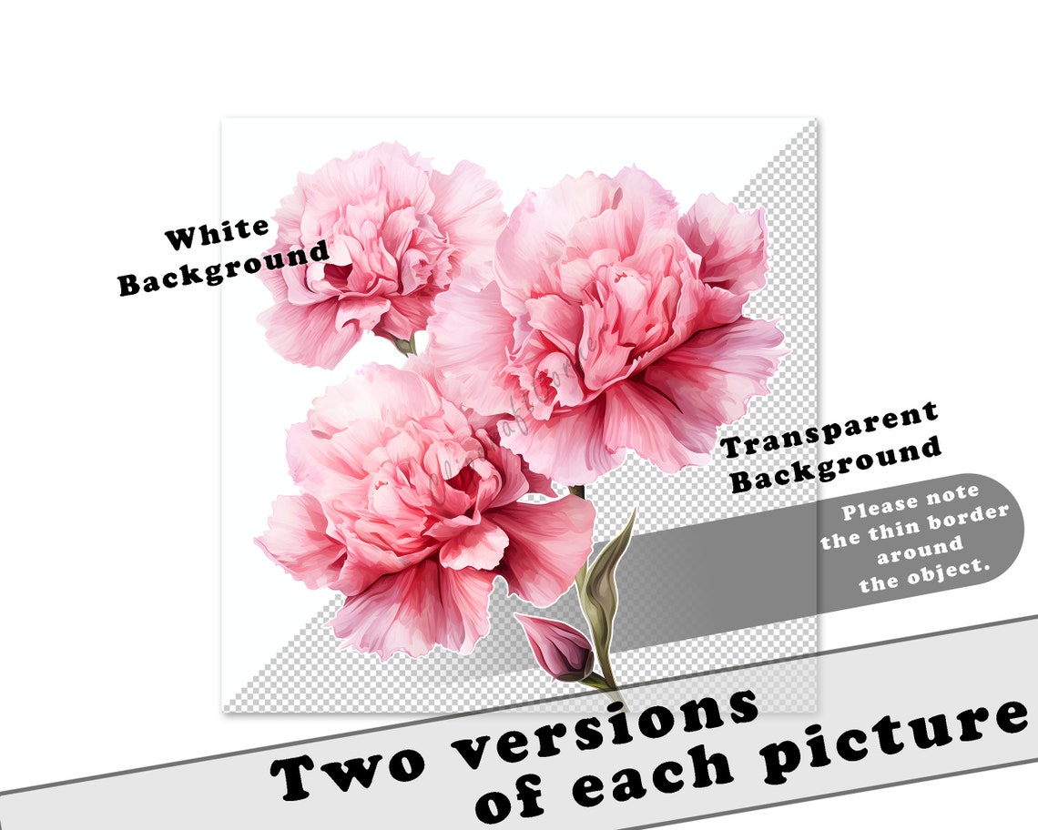 12 Pink Carnation Clipart PNG Art Bundle Watercolor Flower Clipart PNG ...