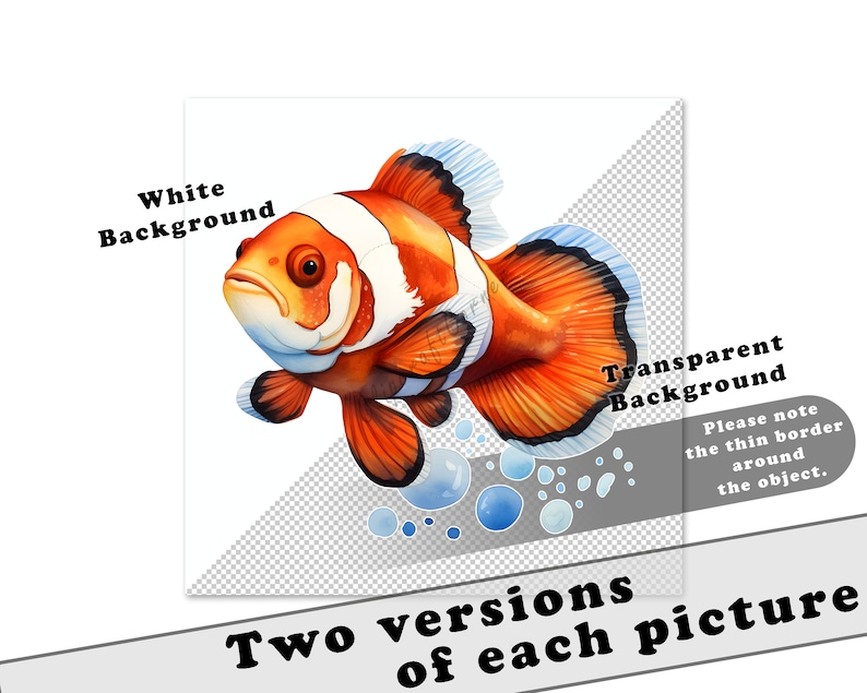 12 Clownfish Clipart PNG Bundle | Watercolor Sea Animals Clipart PNG ...
