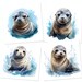 12 Seal Clipart PNG Bundle | Watercolor Sea Animals Clipart PNG | Ocean ...