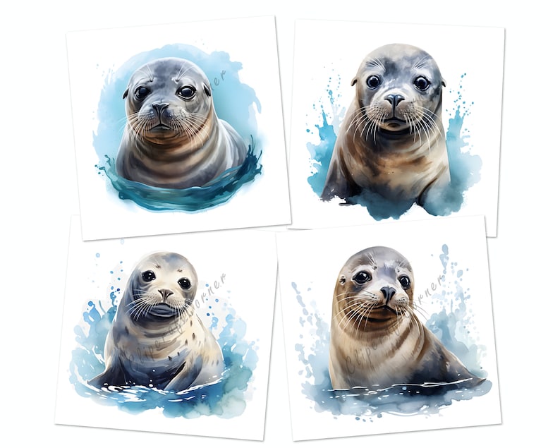 12 Seal Clipart PNG Bundle Watercolor Sea Animals Clipart PNG Ocean ...