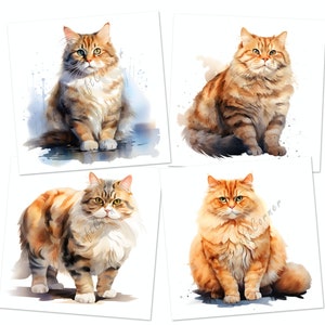 20 Fat Cats Clipart PNG Bundle | Cute Watercolor Fat Cat Clipart PNG ...