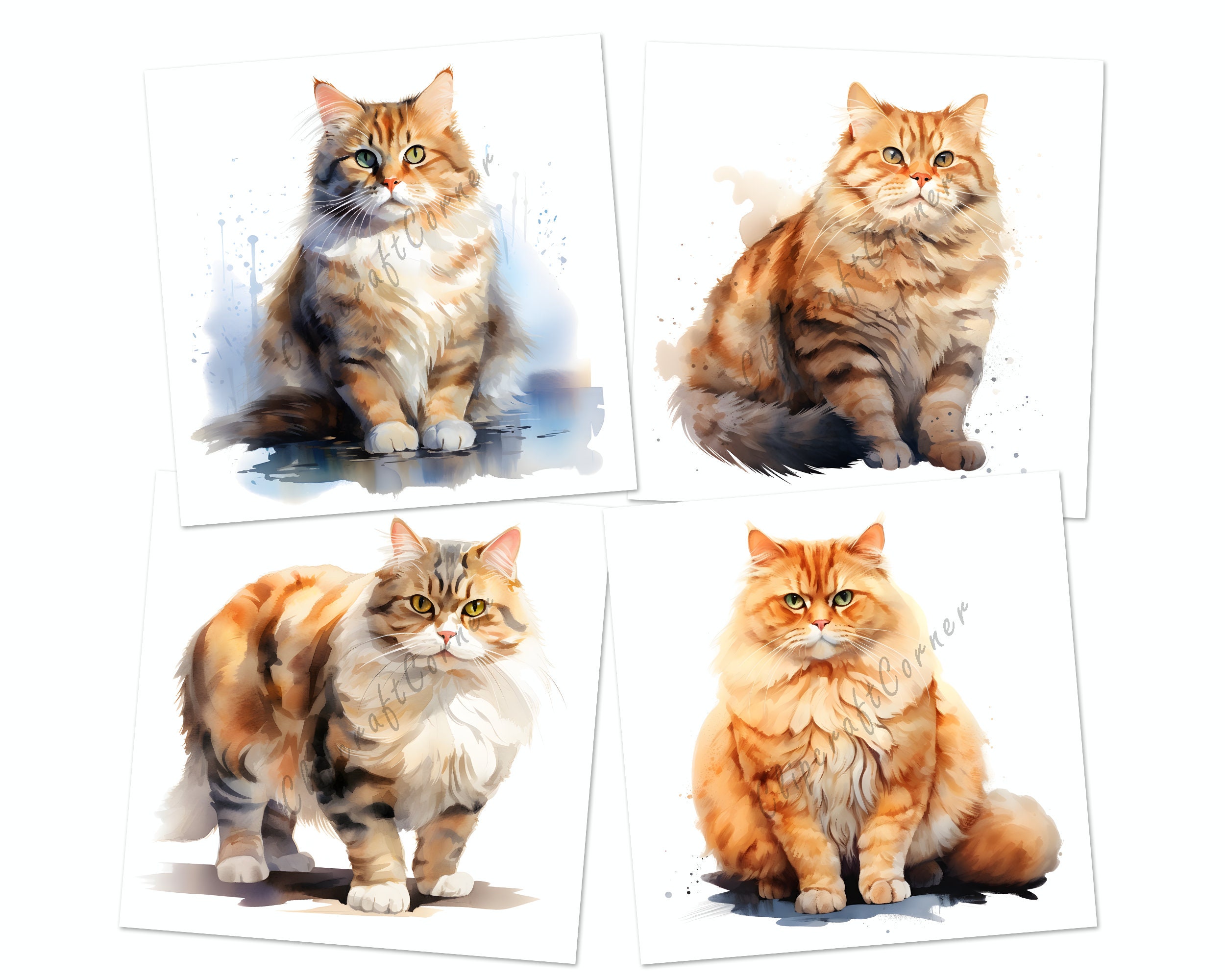 20 Fat Cats Clipart PNG Bundle | Cute Watercolor Fat Cat Clipart PNG ...