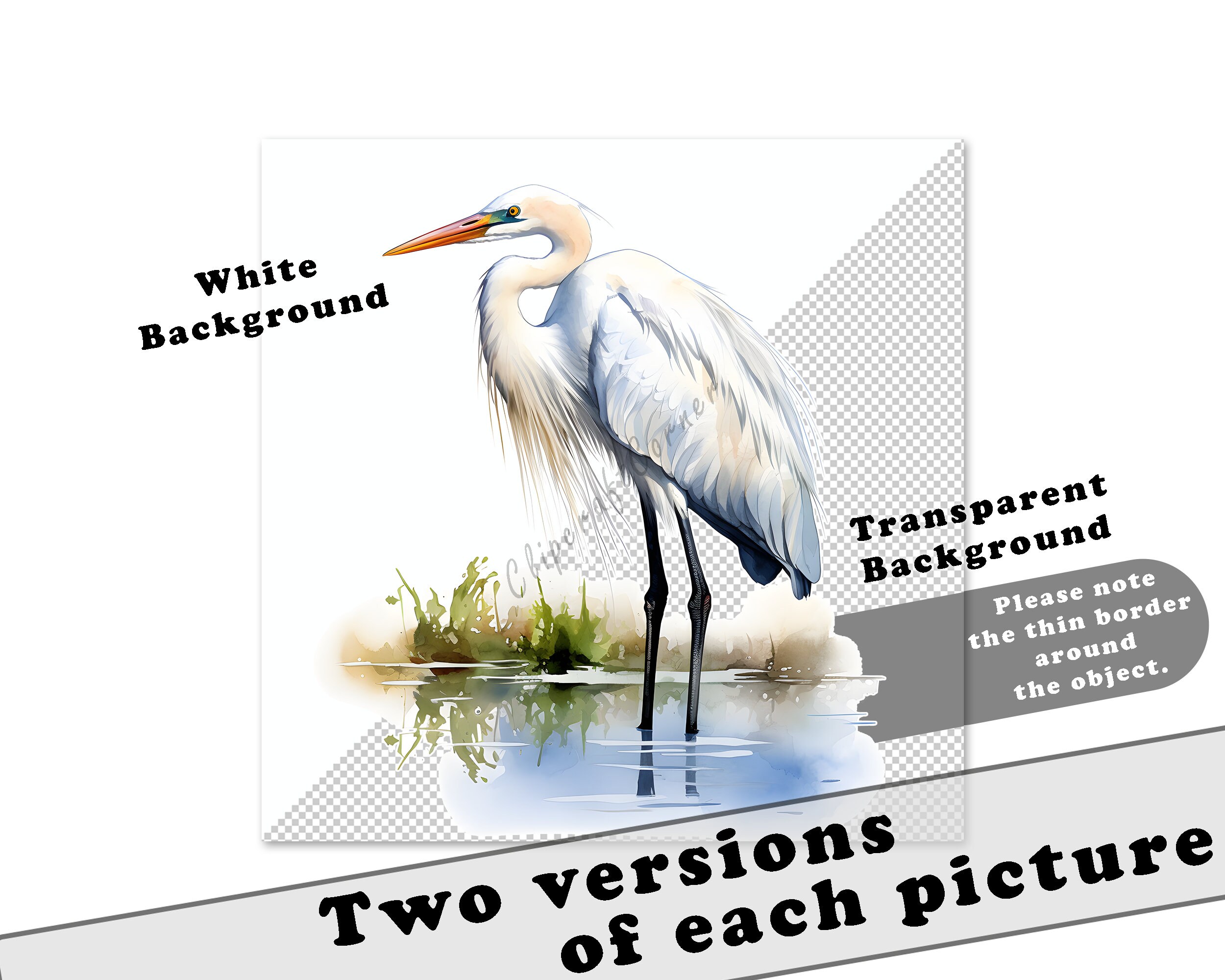 12 Great Egret Clipart PNG Art Bundle | Watercolor Bird Clipart PNG ...