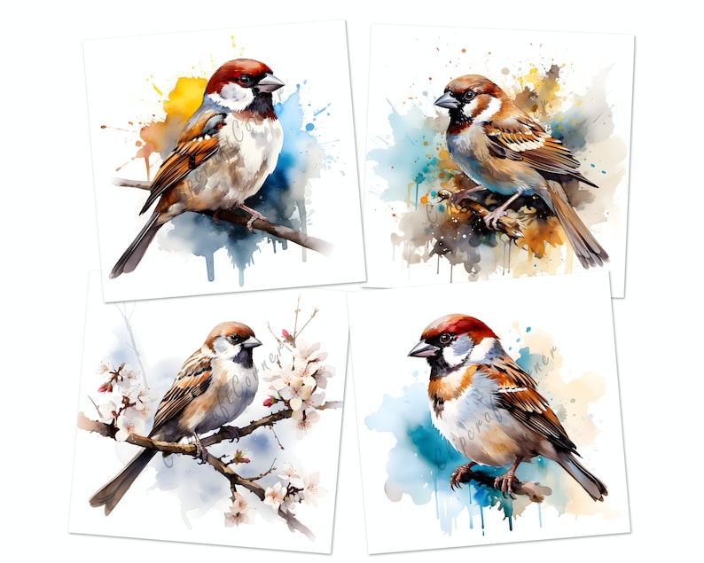12 House Sparrow Clipart PNG Art Bundle | Watercolor Bird Clipart PNG ...