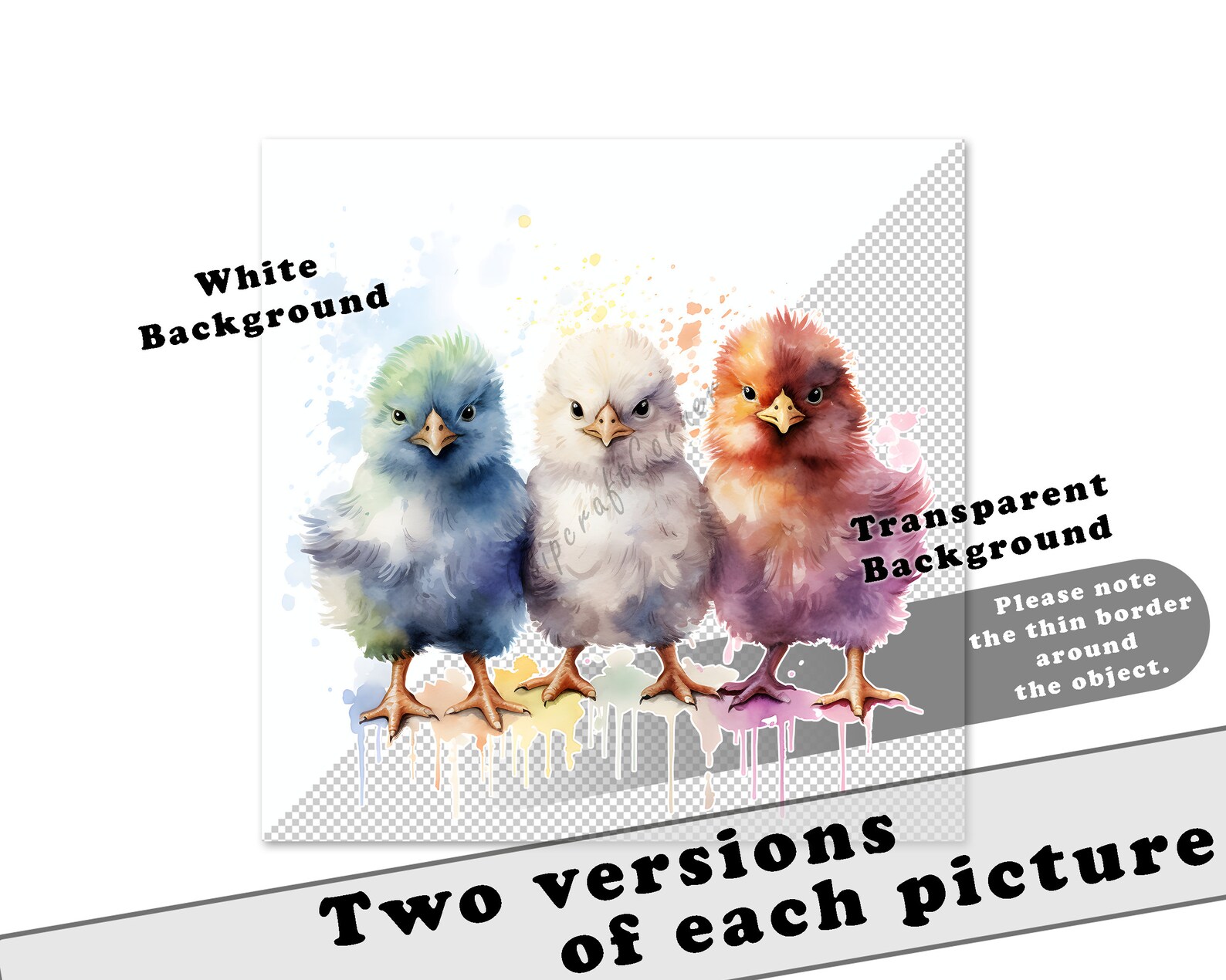 12 Chicks Clipart PNG Bundle | Watercolor Chicken Clipart PNG | Farm ...
