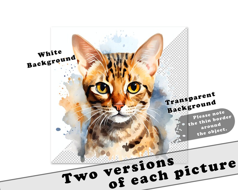 12 Ocicat Cat Clipart PNG Bundle | Cute Watercolor Cat Clipart PNG ...