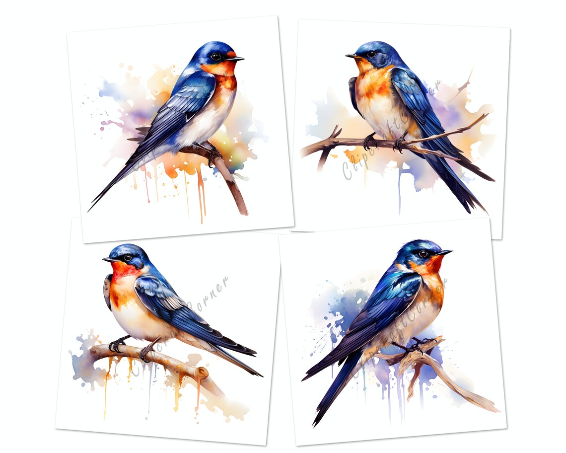 12 Barn Swallow Clipart PNG Art Bundle | Watercolor Bird Clipart PNG ...