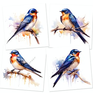 12 Barn Swallow Clipart PNG Art Bundle | Watercolor Bird Clipart PNG ...