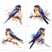 12 Barn Swallow Clipart PNG Art Bundle | Watercolor Bird Clipart PNG ...