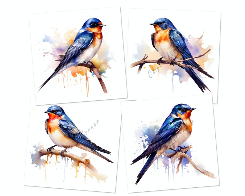 12 Barn Swallow Clipart PNG Art Bundle | Watercolor Bird Clipart PNG ...