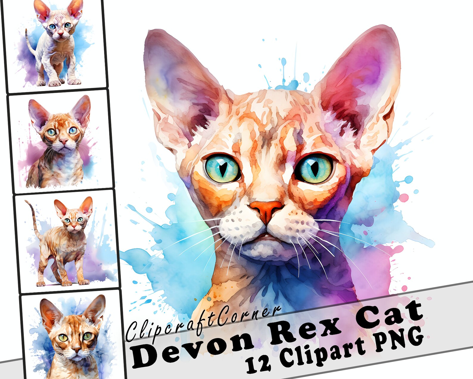 12 Devon Rex Cat Clipart PNG Bundle | Cute Watercolor Cat Clipart PNG ...