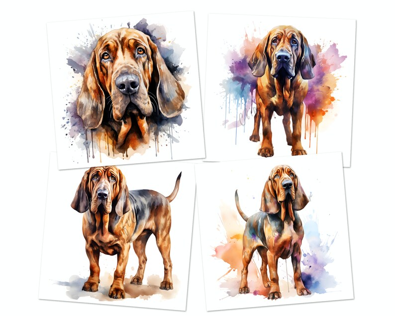 17 Bloodhound Clipart PNG Bundle | Watercolor Dog Clipart PNG | 23 - Etsy