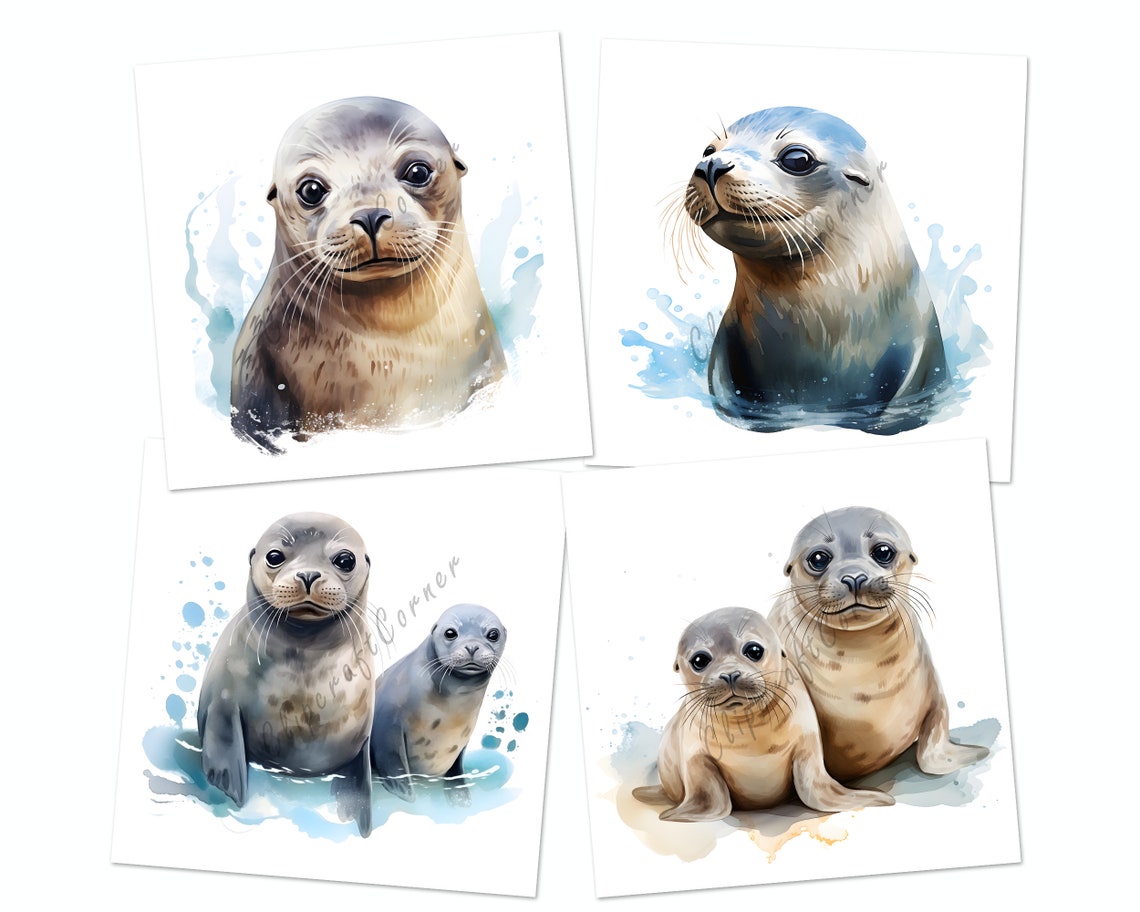 12 Seal Clipart PNG Bundle | Watercolor Sea Animals Clipart PNG | Ocean ...
