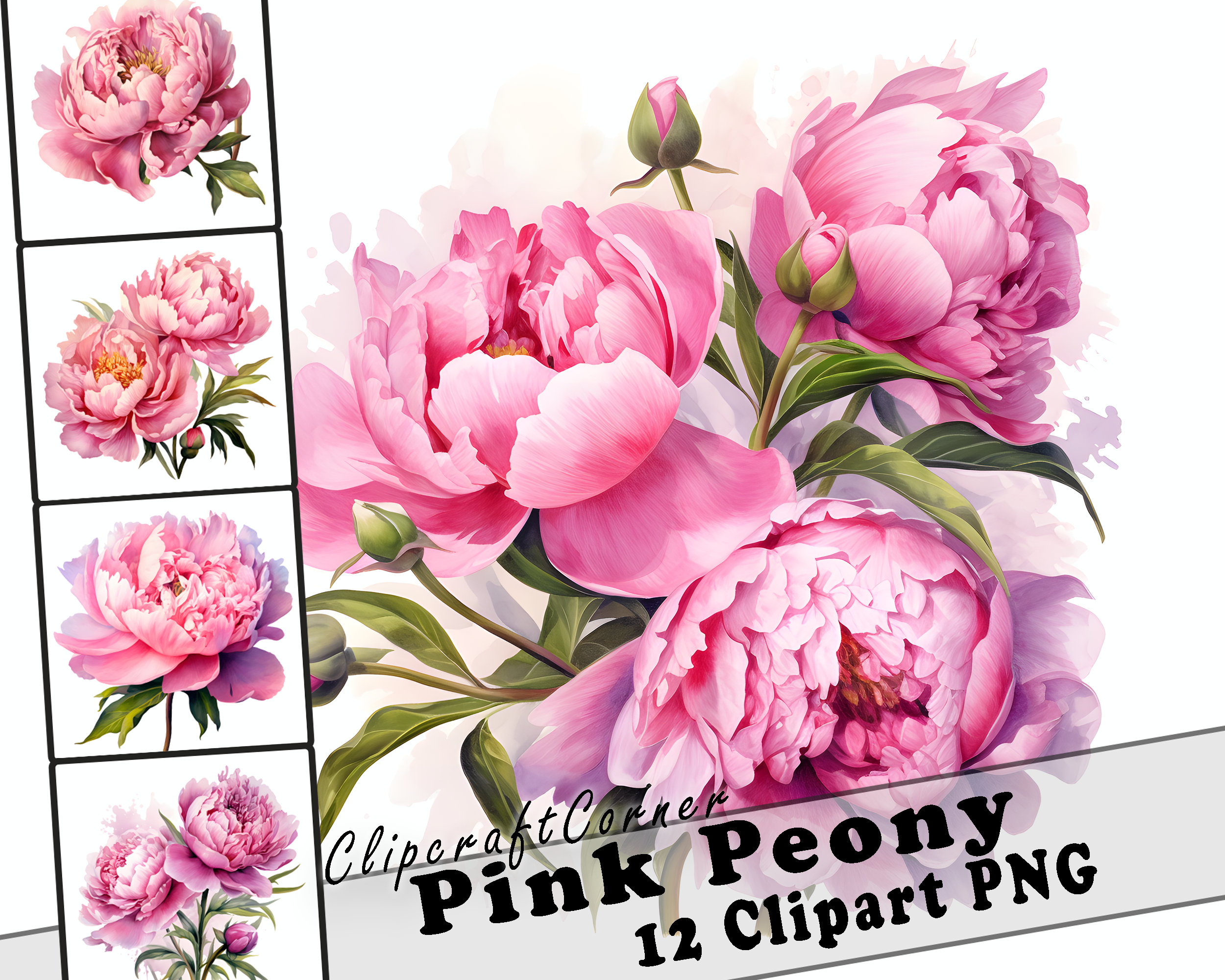 12 Pink Peony Clipart PNG Art Bundle | Watercolor Flower Clipart PNG ...