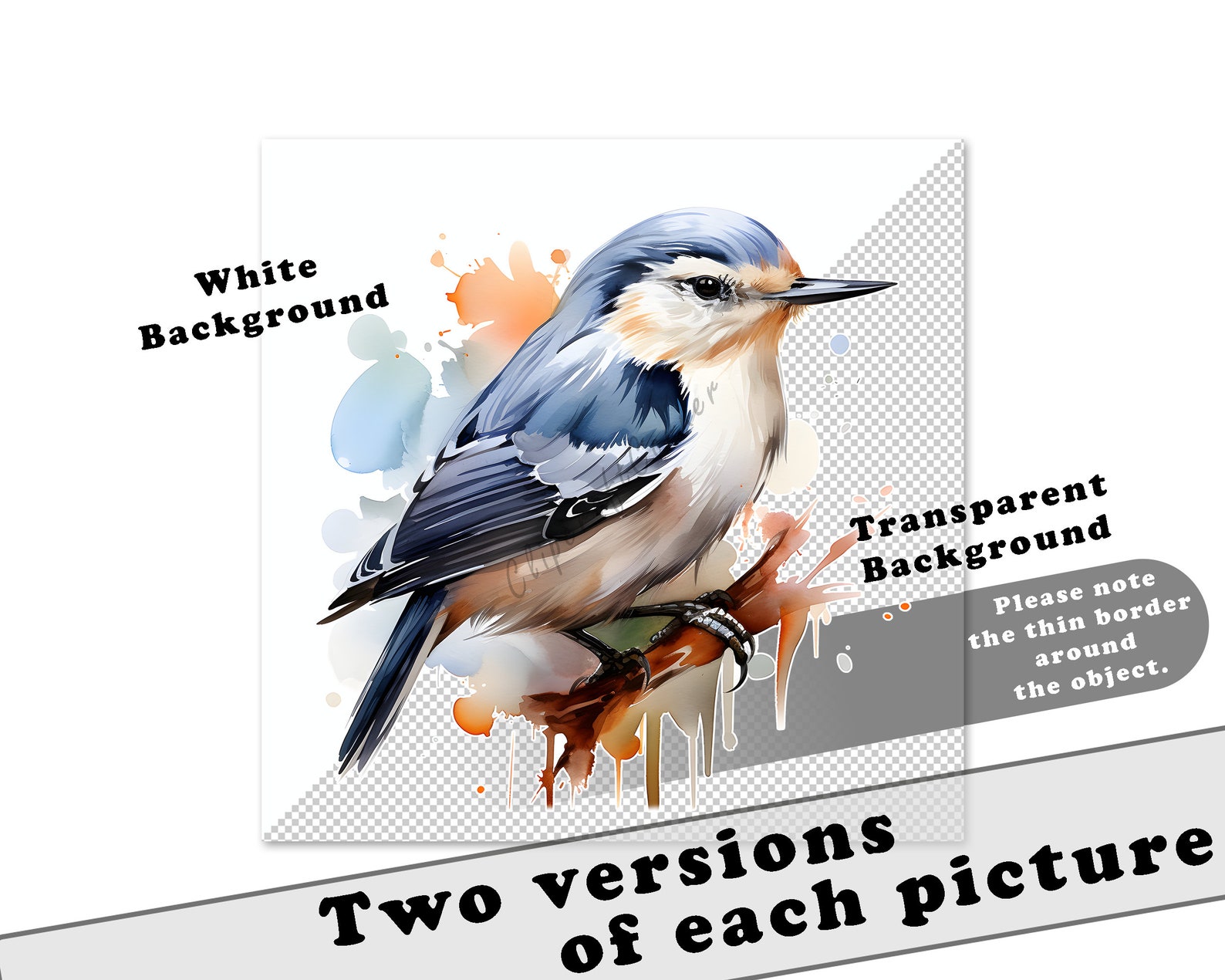 12 White Breasted Nuthatch Clipart PNG Art Bundle | Watercolor Bird ...